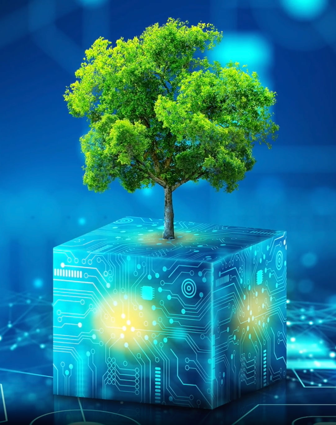 Creative ITC: Cloud Computing Service Provider